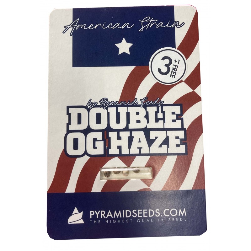 Double OG Haze 3+1 Semillas - Pyramid Seeds - La Rata Growshop